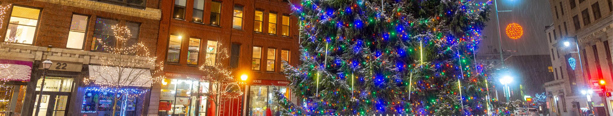 Monument Square Tree Cam - Portland Downtown