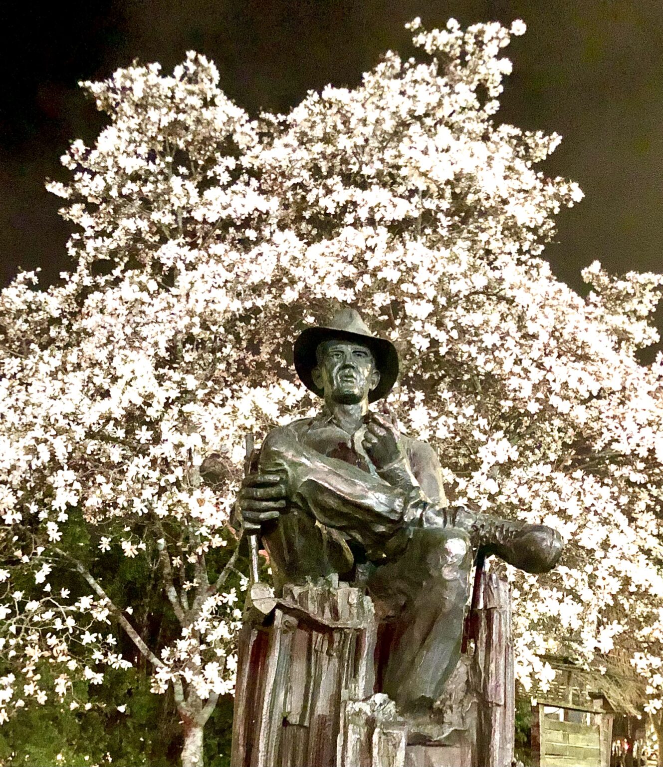 Check Out July's Photo of the Month! - Portland Downtown